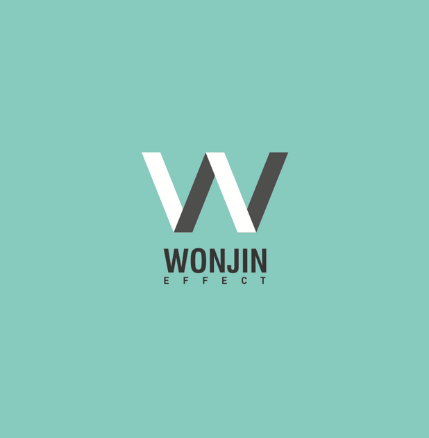 Wonjin Effect – Moona Store
