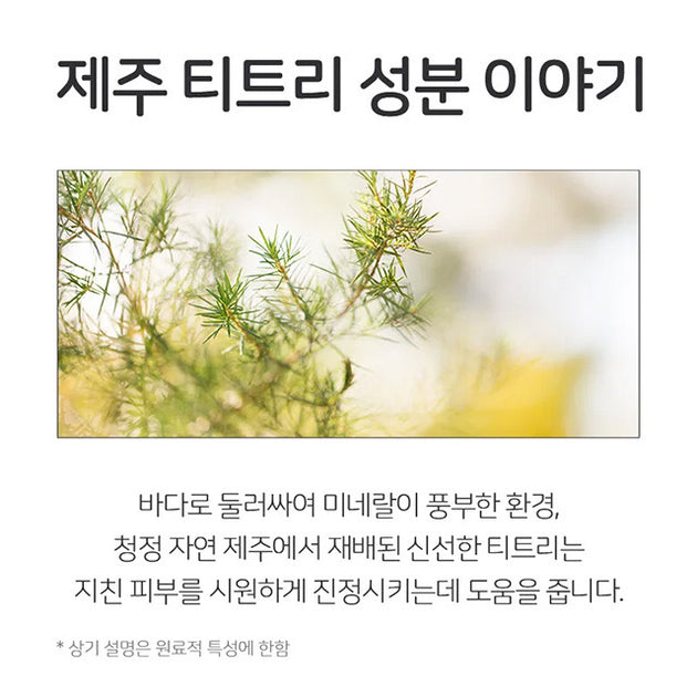 Bring Green | Tea Tree 90% Fresh Mask | Sheet Mask – Moona Store